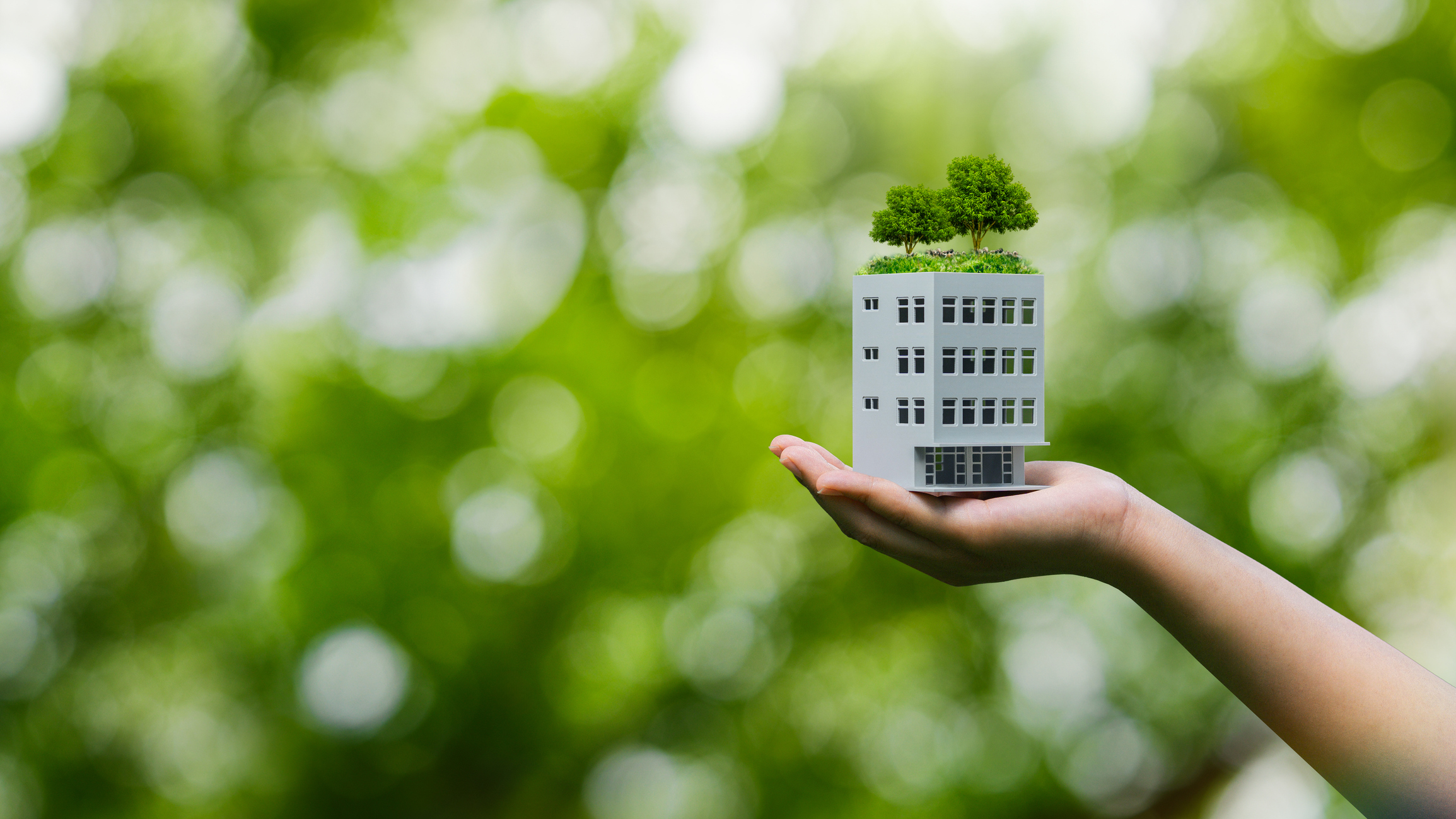 The Rise of Green Homes: How Sustainability Impacts Your Loan ...